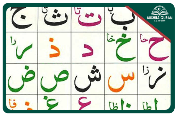 Quran for Beginners - Bushra Quran Academy - blog - Bushra Quran Academy